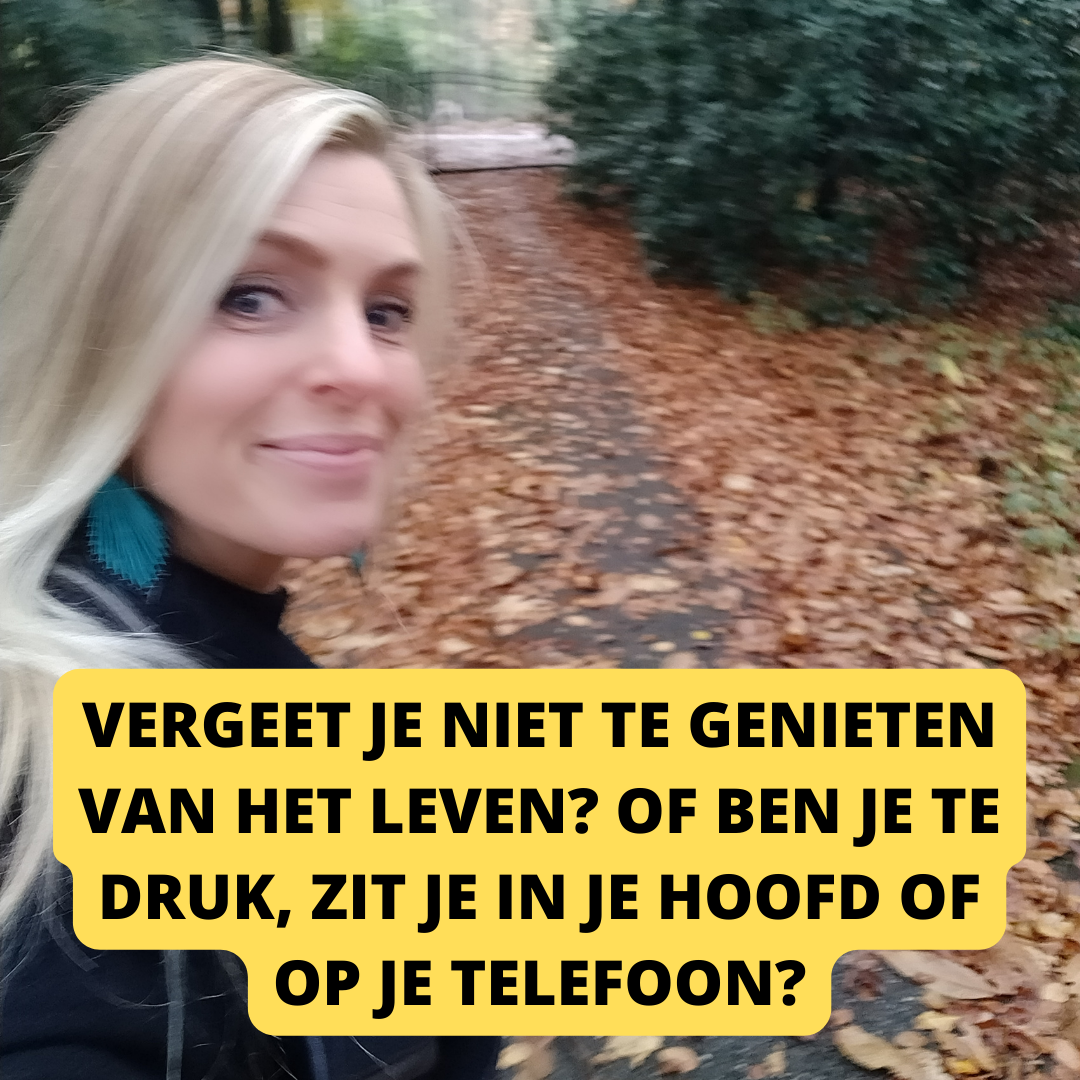 Vergeet je niet te genieten van het leven? Of ben je te druk, zit je in ...