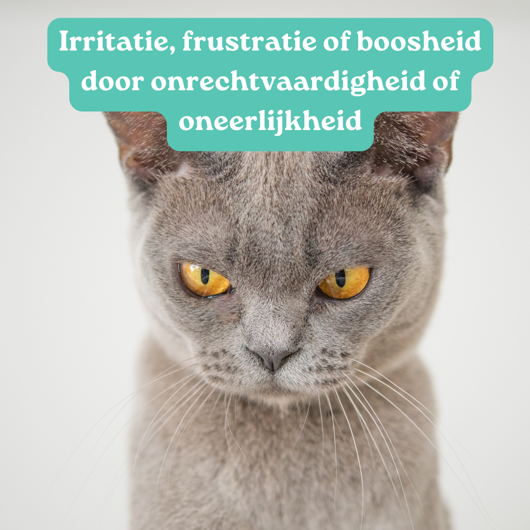 Irritatie, frustratie of boosheid door onrechtvaardigheid of ...